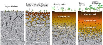 Erosion, Weathering, and Soil Formation - Geology Science