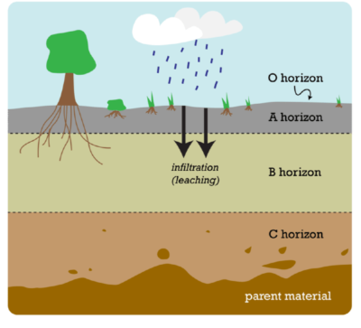 Soil Composition and Types - Geology Science