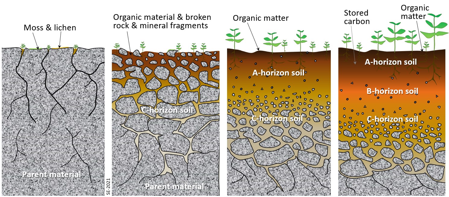 Erosion, Weathering, and Soil Formation - Geology Science