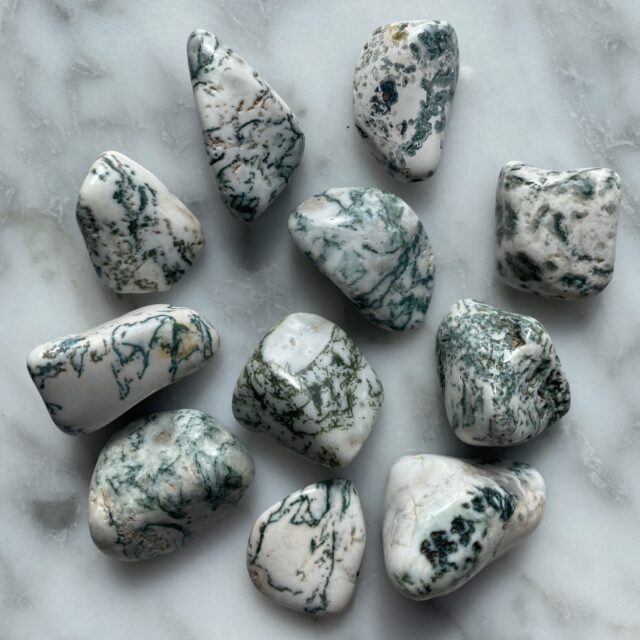 Tree Agate : Properties, Formation, Uses - Geology Science
