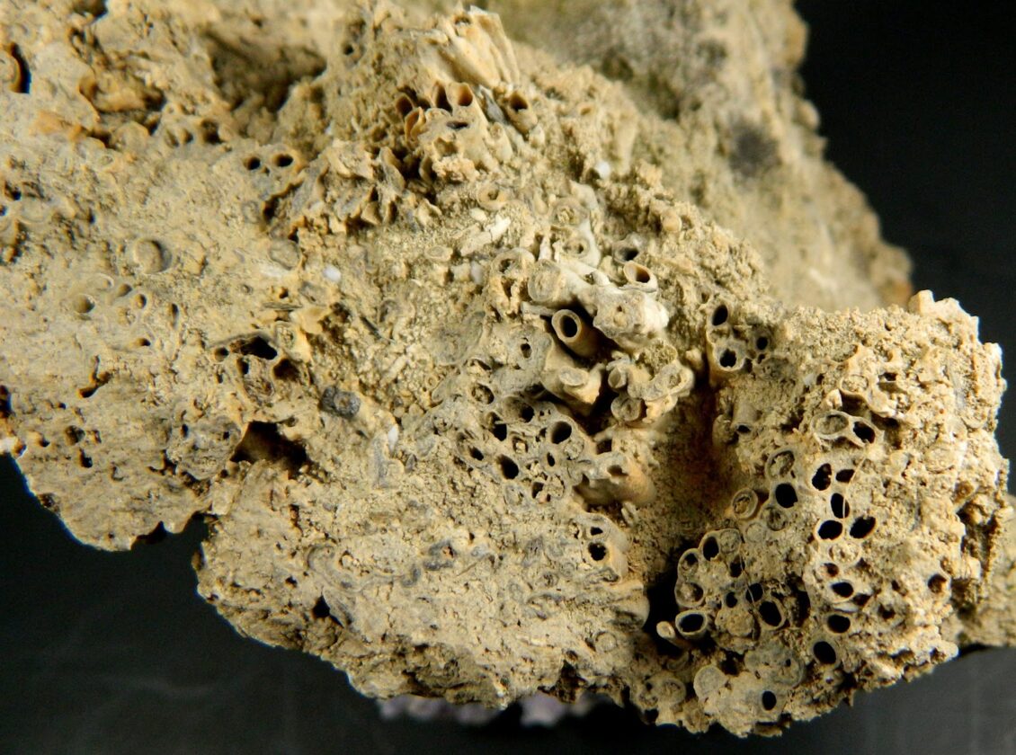 Tufa : Properties, Formation, Uses - Geology Science