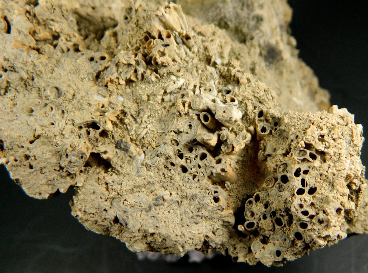 Tufa : Properties, Formation, Uses - Geology Science