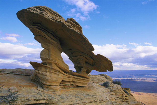 Erosion, Weathering, and Soil Formation - Geology Science