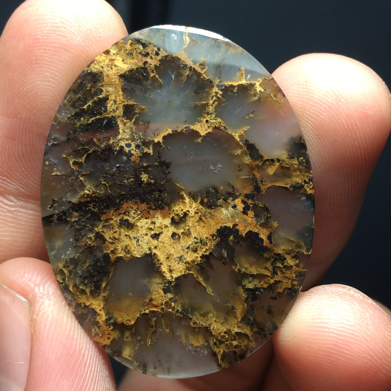 Sagenite Agate : Properties, Formation, Uses - Geology Science