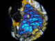 Textures of Igneous Rocks | Types, Formation & Cooling History