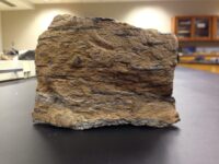 Textures of Igneous Rocks | Types, Formation & Cooling History