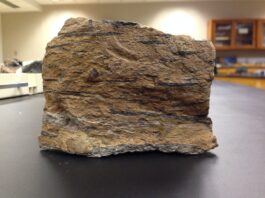 Textures of Igneous Rocks | Types, Formation & Cooling History