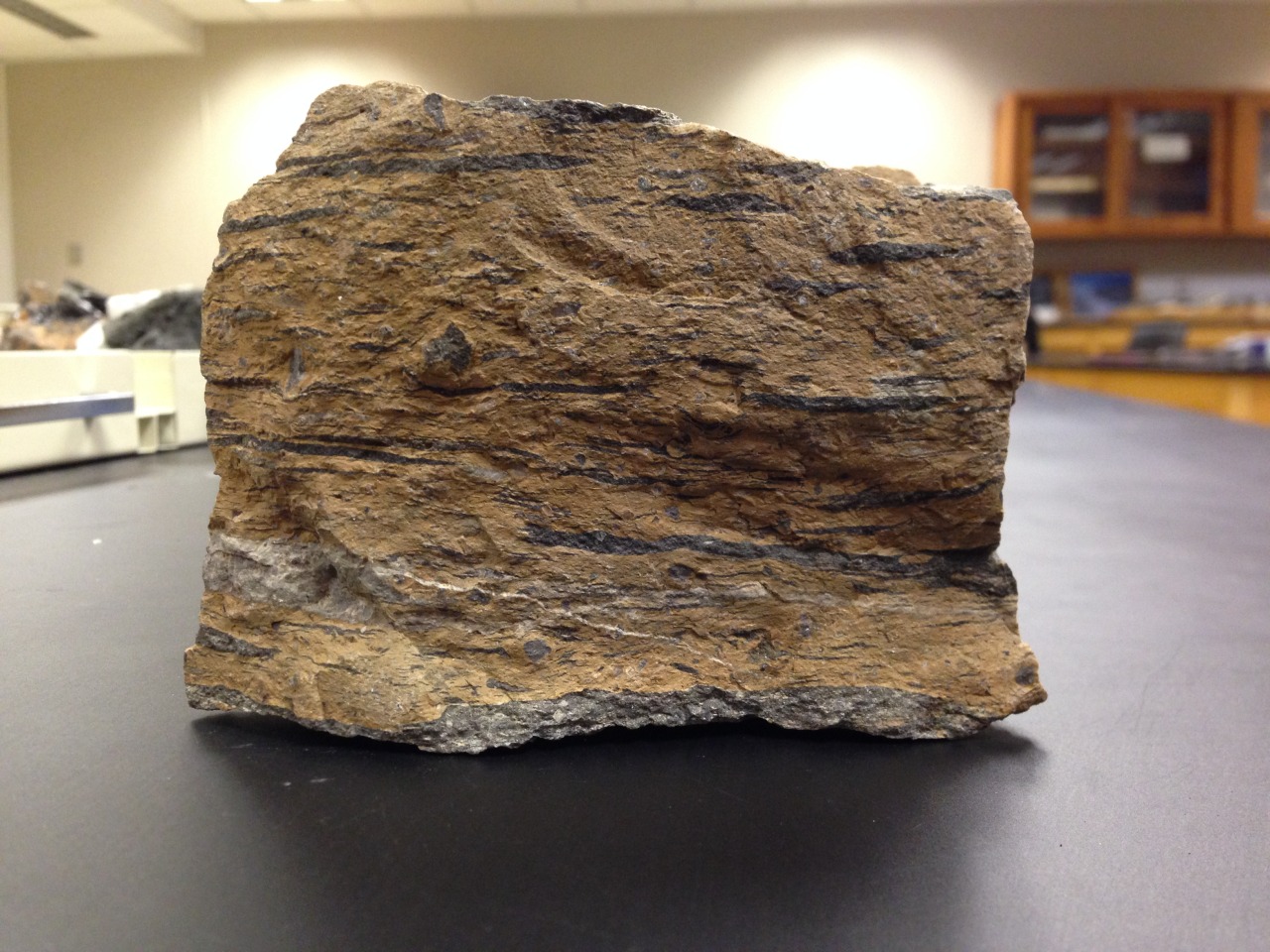 Textures of Igneous Rocks | Types, Formation & Cooling History