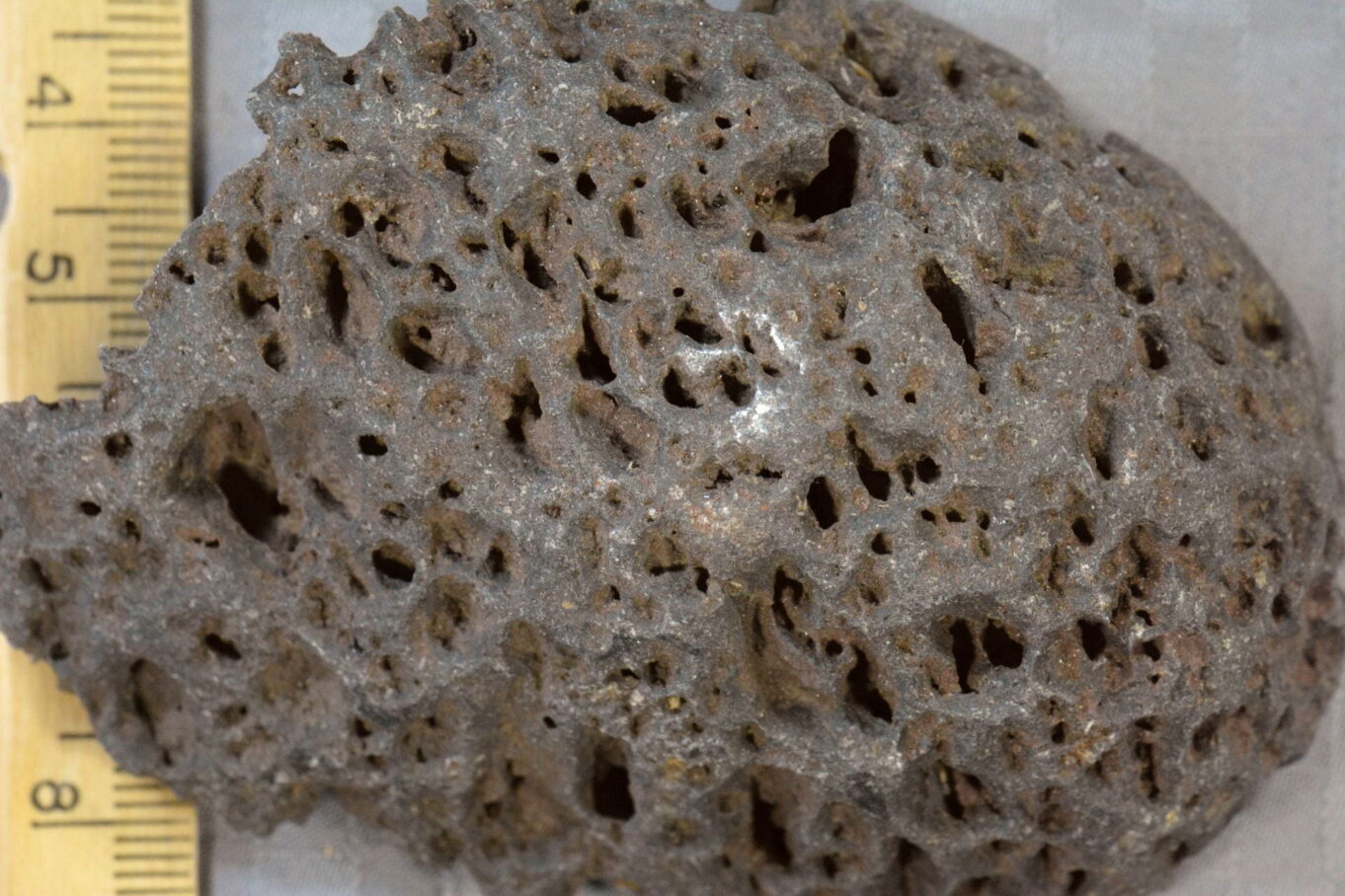 Textures of Igneous Rocks | Types, Formation & Cooling History