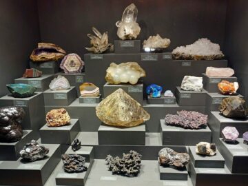 Sedimentology: Sediment Processes, Structures & Environments