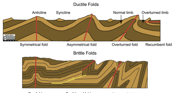 Faults: Definition, Types, Causes, and Geological Importance