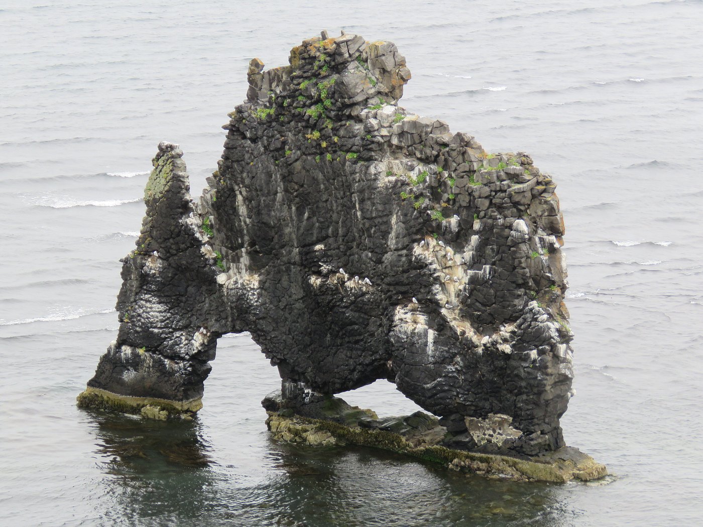 Hvitserkur: Geology, Formation & the Dragon-Shaped Basalt
