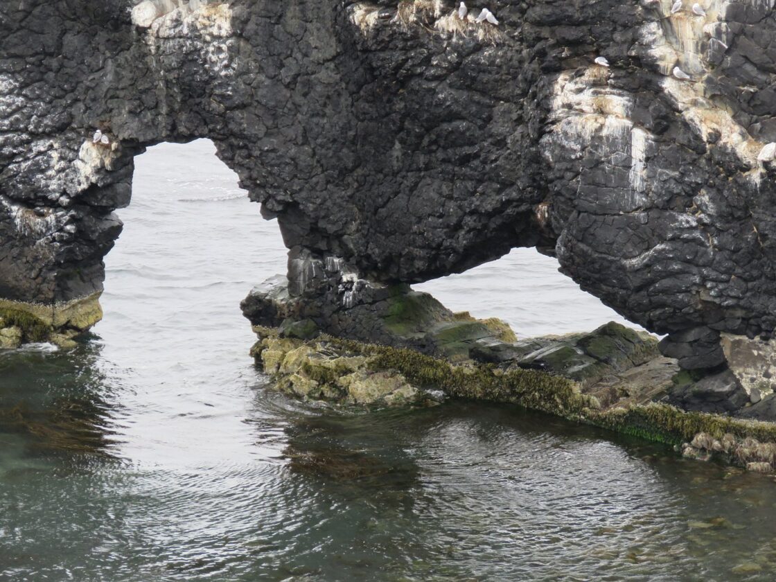 Hvitserkur: Geology, Formation & the Dragon-Shaped Basalt