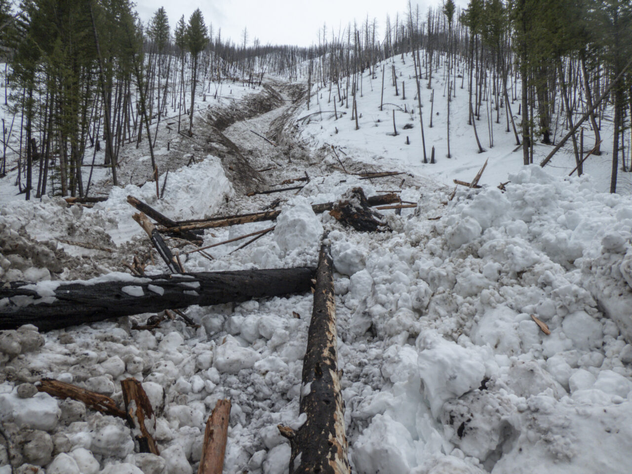 Avalanches : facteurs géologiques et environnementaux déclencheurs ...