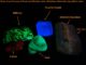 Fluorescent Minerals: Why Do Some Minerals Glow Under UV Light?