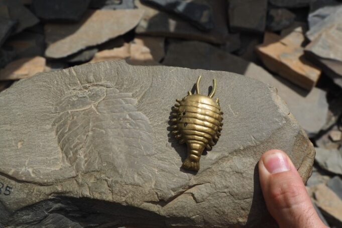 Top 10 Most Important Fossil Discoveries of All Time - Geology Science
